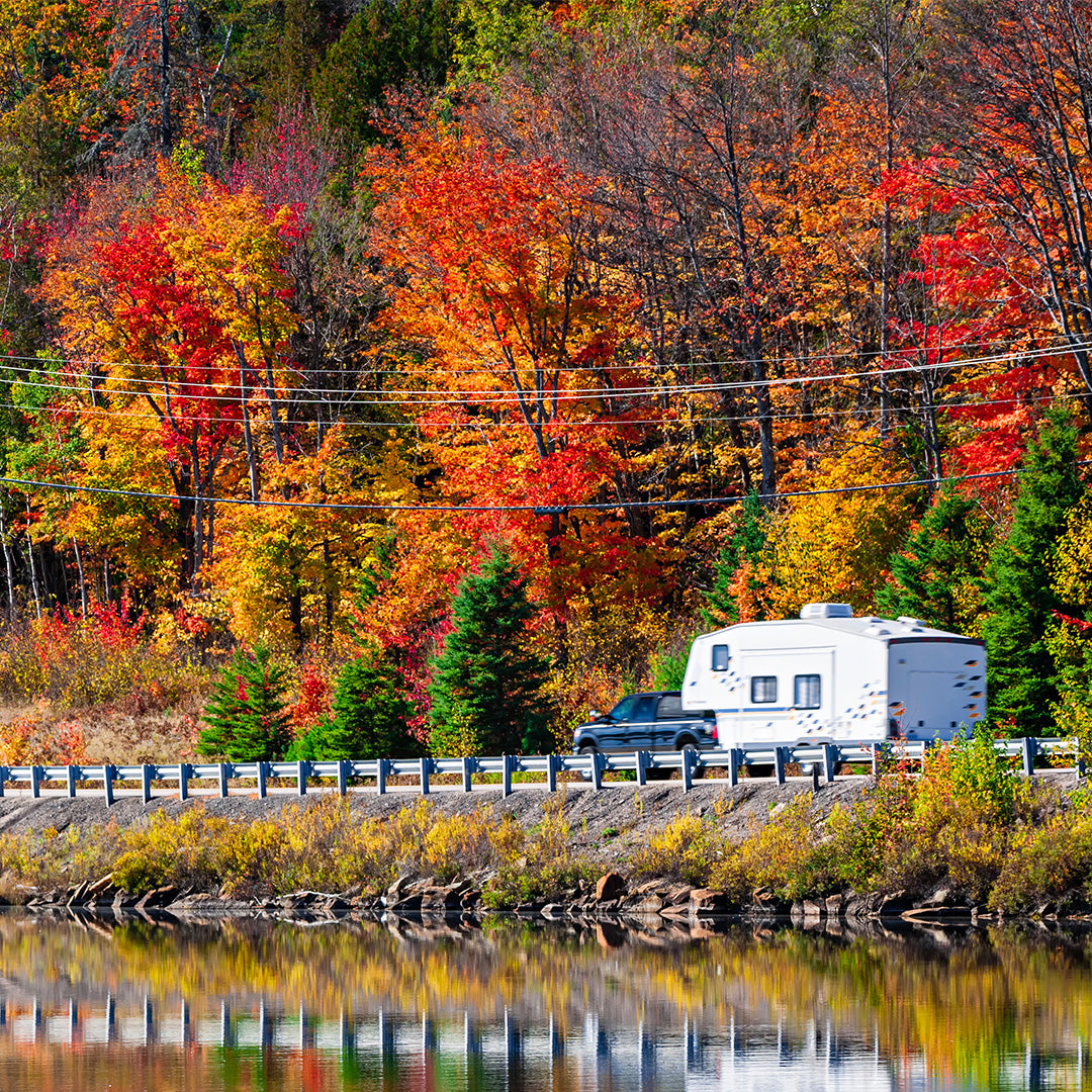 Discover the Joys of Fall Camping: Tips and Activities for Your RV ...